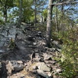 Seneca Rocks Trail, West Virginia - 3,197 Reviews, Map | AllTrails