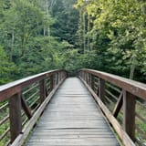 Seneca Rocks Trail, West Virginia - 3,197 Reviews, Map | AllTrails