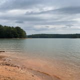 Lake Blue Ridge Loop , Georgia - 900 Reviews, Map | AllTrails
