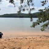 Lake Blue Ridge Loop , Georgia - 900 Reviews, Map | AllTrails
