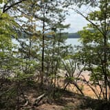 Lake Blue Ridge Loop , Georgia - 900 Reviews, Map | AllTrails