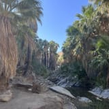 Palm Canyon Trail, California - 1,480 Reviews, Map | AllTrails