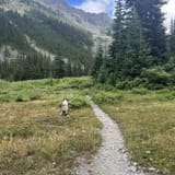 Royal Basin and Royal Lake, Washington - 770 Reviews, Map | AllTrails