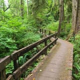 Cathedral Tree Trail, Oregon - 1,049 Reviews, Map | AllTrails