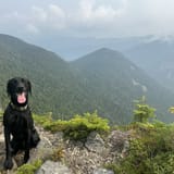 Mount Carrigain via Signal Ridge Trail, New Hampshire - 2,937 Reviews ...