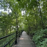 Mount Royal Park Loop, Quebec, Canada - 2,105 Reviews, Map | AllTrails