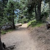 Sunrise View Point via High Ridge Nature Trail, Washington - 1,070 ...