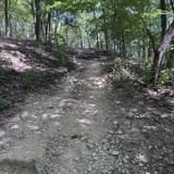 Mossy Ridge Trail, Tennessee - 7,339 Reviews, Map | AllTrails