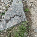 Franey Trail, Nova Scotia, Canada - 1,472 Reviews, Map | AllTrails