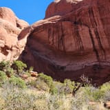 Double Arch Trail, Utah - 4,946 Reviews, Map | AllTrails