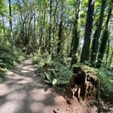 Puyallup Loop Trail, Washington - 1,414 Reviews, Map | AllTrails