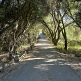 Trippet Ranch to Eagle Springs Loop Trail, California - 822 Reviews ...