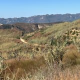 Trippet Ranch to Eagle Springs Loop Trail, California - 822 Reviews ...