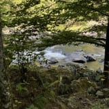 Laurel River Trail, North Carolina - 1,627 Reviews, Map | AllTrails