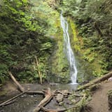 Madison Falls Trail, Washington - 2,007 Reviews, Map | AllTrails