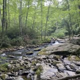 Boone Fork Trail, North Carolina - 3,601 Reviews, Map | AllTrails