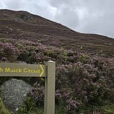 Loch Muick Circular, Aberdeenshire, Scotland - 237 Reviews, Map | AllTrails
