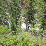 Silver Run Loop Trail, Montana - 539 Reviews, Map | AllTrails