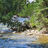 Silver Run Loop Trail, Montana - 539 Reviews, Map | AllTrails