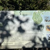 Trinidad Head/Tsurai Loop, California - 1,320 Reviews, Map | AllTrails