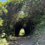 Trinidad Head/Tsurai Loop, California - 1,320 Reviews, Map | AllTrails