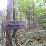 Pinnacle Overlook Trail, Kentucky - 196 Reviews, Map | AllTrails