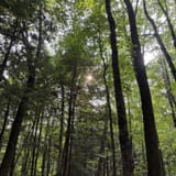 Red Rocks Park Loop, Vermont - 1,933 Reviews, Map | AllTrails
