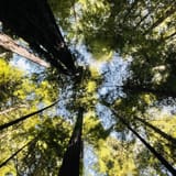 Drury-Chaney Trail, California - 928 Reviews, Map | AllTrails