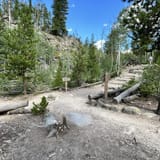 Adams Falls Trail, Colorado - 3,543 Reviews, Map | AllTrails