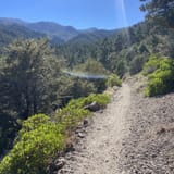 Dry Pond Loop, Nevada - 1,645 Reviews, Map | AllTrails