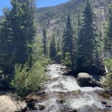 Cub Lake Loop, Colorado - 2,306 Reviews, Map | AllTrails