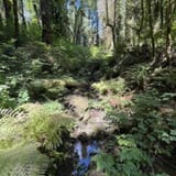 Tryon Creek Triple Bridge Loop, Oregon - 1,757 Reviews, Map | AllTrails