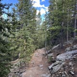 Chief Mountain Trail, Colorado - 9,617 Reviews, Map | AllTrails