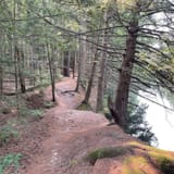 Wildcat Falls, New Hampshire - 2,266 Reviews, Map | AllTrails