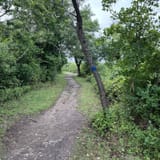 Beavertail Lighthouse Loop, Rhode Island - 1,033 Reviews, Map | AllTrails