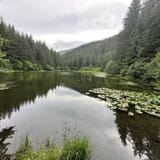 Two Lakes Trail, Alaska - 571 Reviews, Map | AllTrails