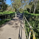 Bulimba Creek Loop, Queensland, Australia - 156 Reviews, Map | AllTrails