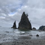 Rialto Beach Trail, Washington - 349 Reviews, Map | AllTrails