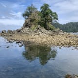 Rialto Beach Trail, Washington - 349 Reviews, Map | AllTrails