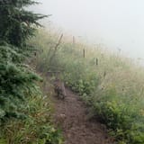 Johnson Ridge Trail, Washington - 287 Reviews, Map | AllTrails