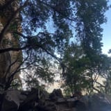 Rustig Hiking Trail, Gauteng, South Africa - 264 Reviews, Map | AllTrails