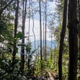 Mount Angsi, Negeri Sembilan, Malaysia - 1,048 Reviews, Map | AllTrails