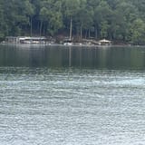 Lake Blue Ridge Loop , Georgia - 900 Reviews, Map | AllTrails