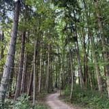 Plateau Trail, Ohio - 3,522 Reviews, Map | AllTrails