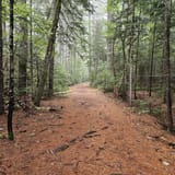 U.N.H. Trail, New Hampshire - 2,423 Reviews, Map | AllTrails