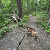 Ryan Park Loop, Rhode Island - 422 Reviews, Map | AllTrails
