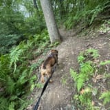 Ryan Park Loop, Rhode Island - 422 Reviews, Map | AllTrails