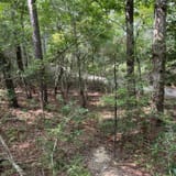 Cedar Point Tideland Trail, North Carolina - 773 Reviews, Map | AllTrails