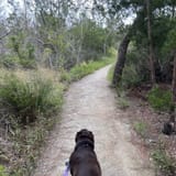 Cedar Point Tideland Trail, North Carolina - 773 Reviews, Map | AllTrails