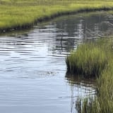 Cedar Point Tideland Trail, North Carolina - 773 Reviews, Map | AllTrails